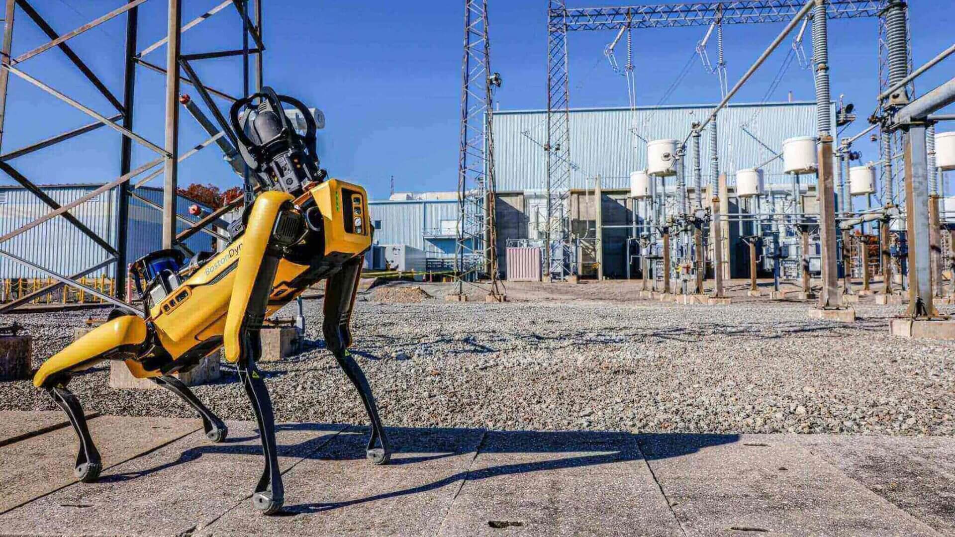 Nuovi robot quadrupedi: Spot e Go2 a confronto - AI4Business
